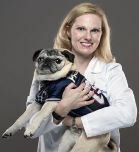 Dr. Beverly Mason – Dedham Veterinary Associates