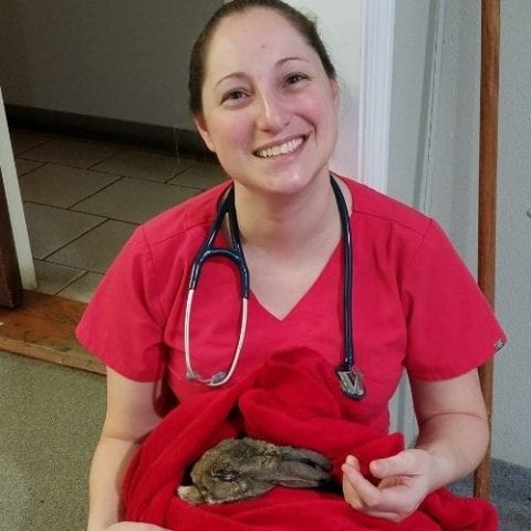 Dr. Susan Tinkham – Dedham Veterinary Associates